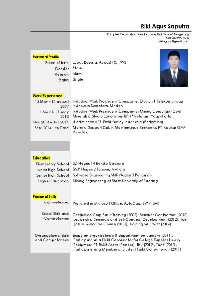 Standard CV Template | PDF
