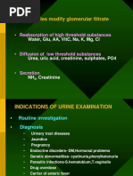 Normal Urine Routine Examination Report | PDF | Urine | Kidney