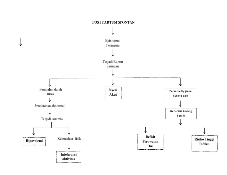 Asuhan Keperawatan Post Partum Spontan | PDF