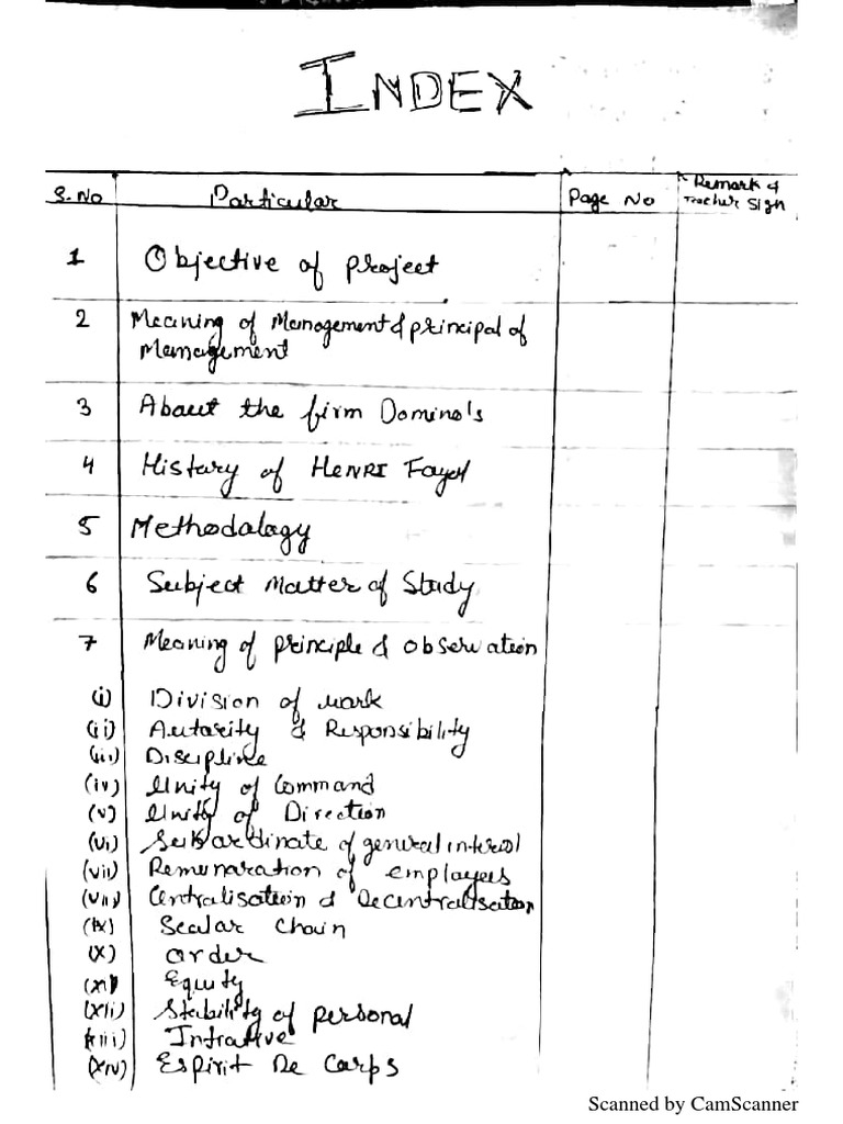 12.Th Class Project On Principle of Management | PDF