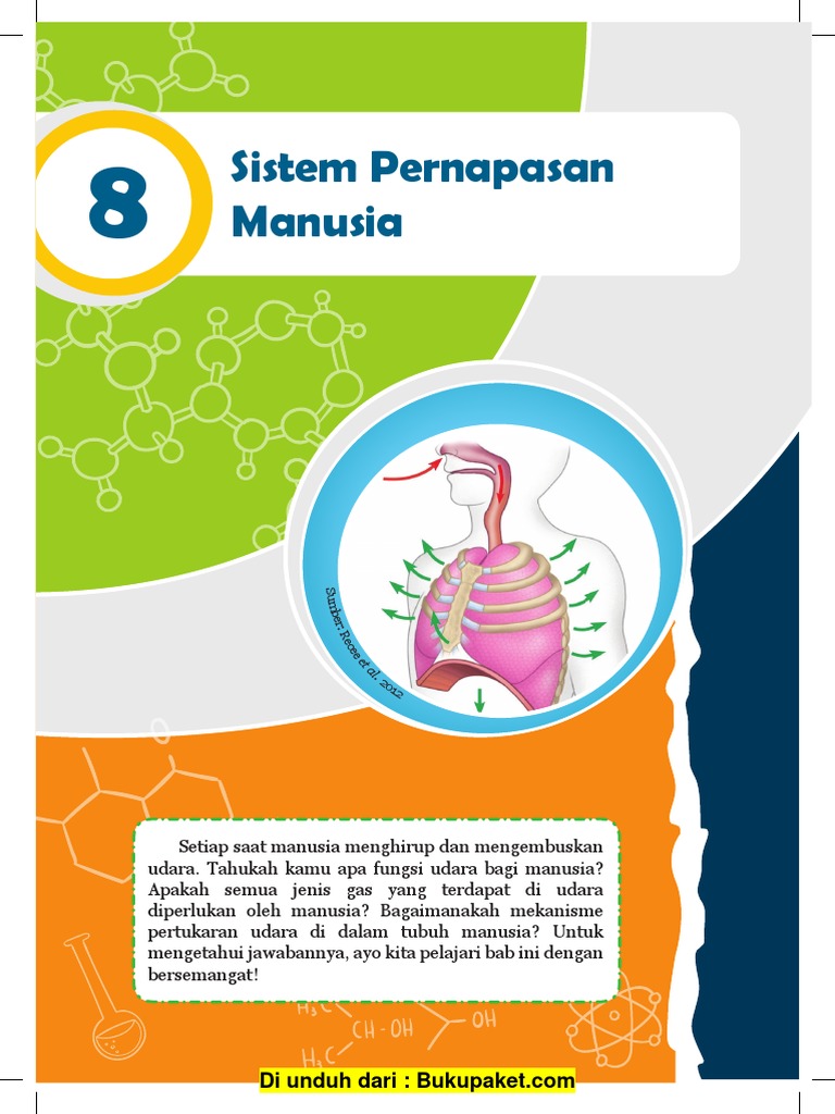 MEKANISME PERNAPASAN MANUSIA | PDF