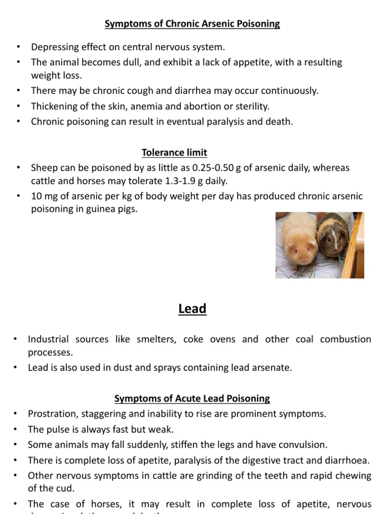 Pollution Effect On Animals | PDF | Arsenic | Lead
