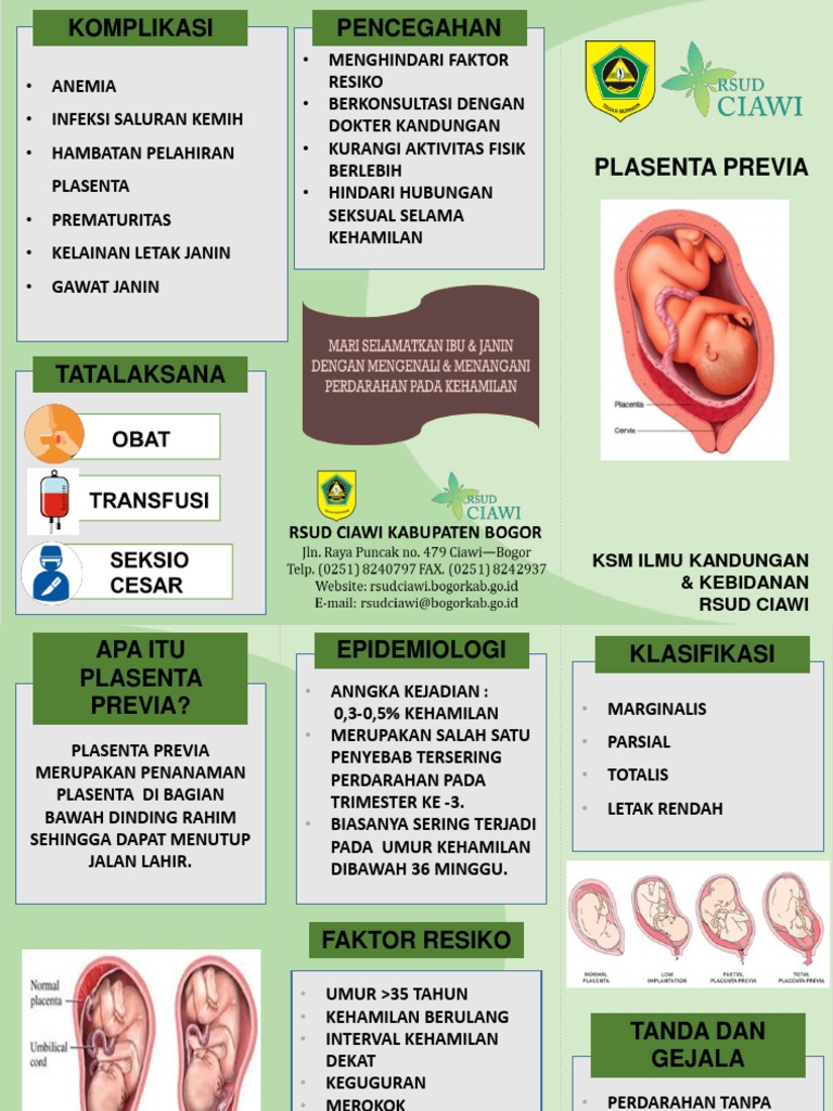 LEAFLET Plasenta Previa | PDF
