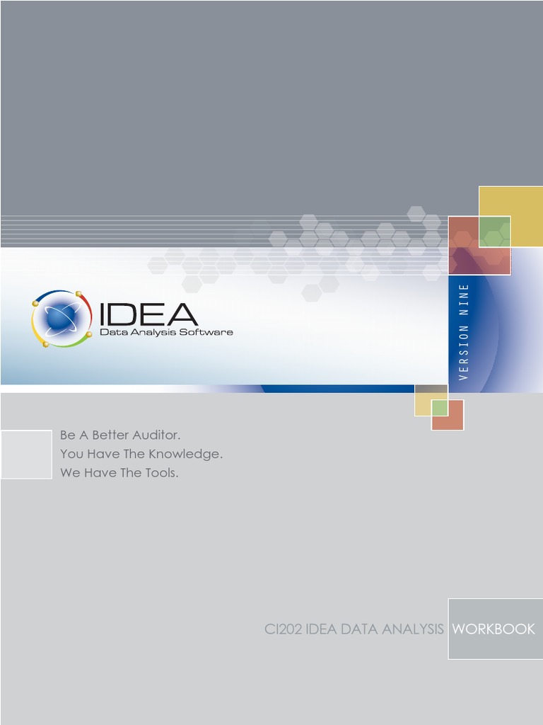 Idea Workbook A4 | PDF | Audit | Data Analysis