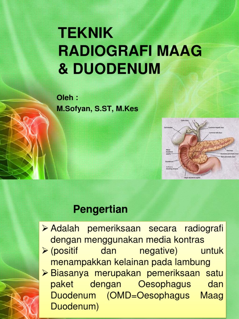 Tr3 Maag Duodenum | PDF