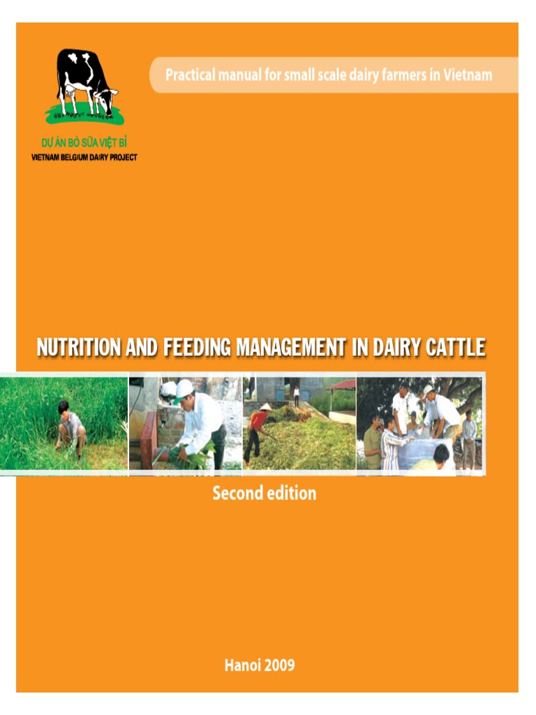 Dairy Cattle Nutrition Guide for Farmers | PDF | Ruminant | Digestion