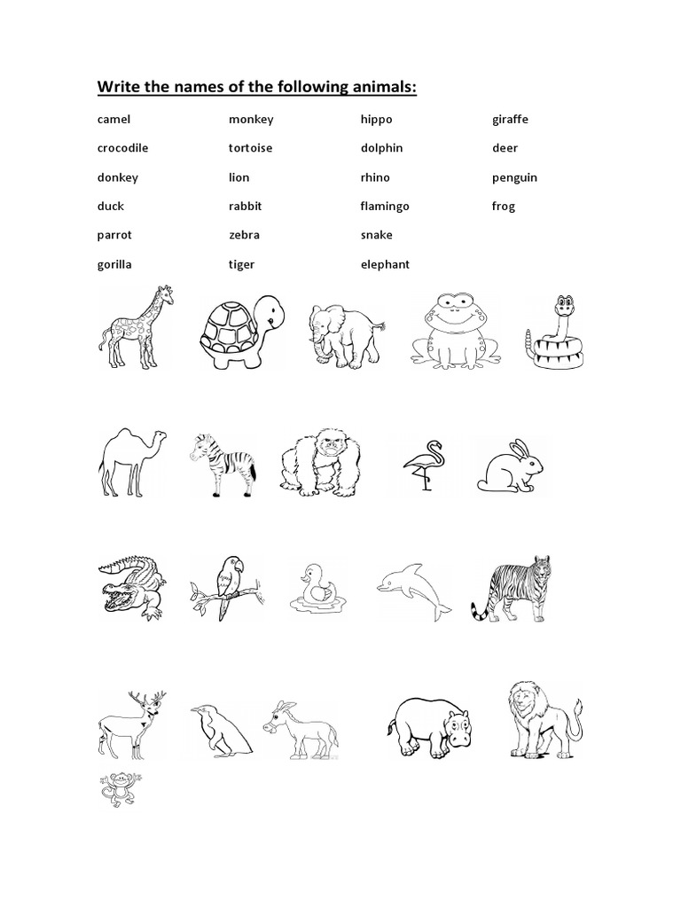 Write The Names of The Following Animals | PDF