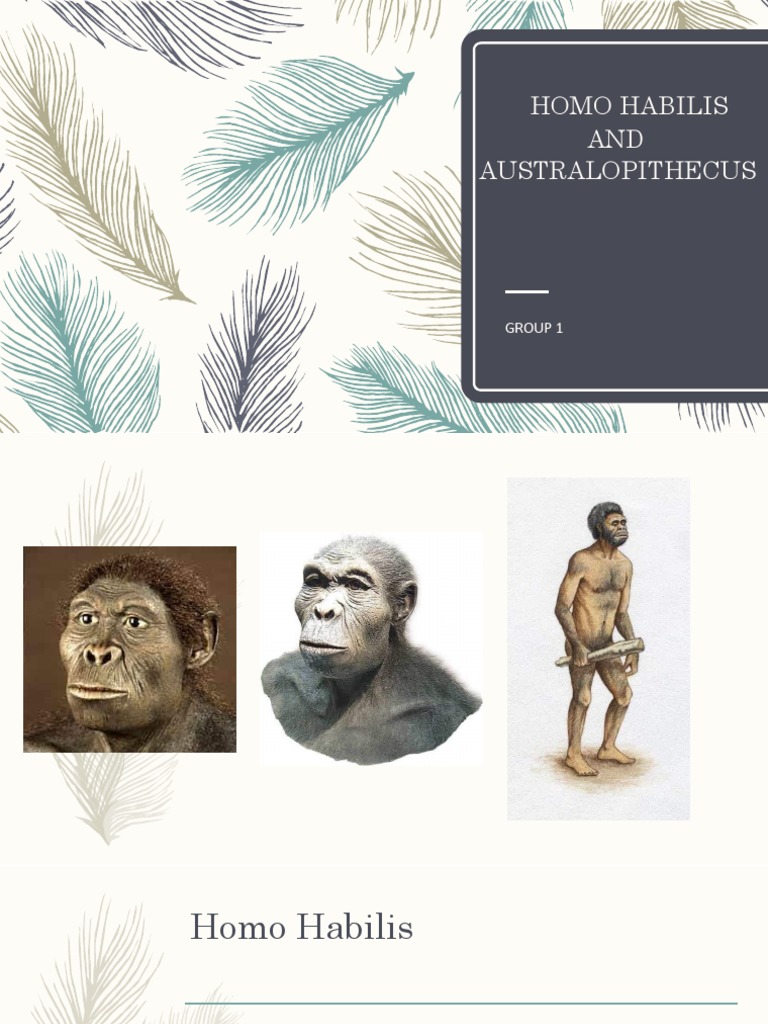 Australopithecus and Homo Habilis | PDF