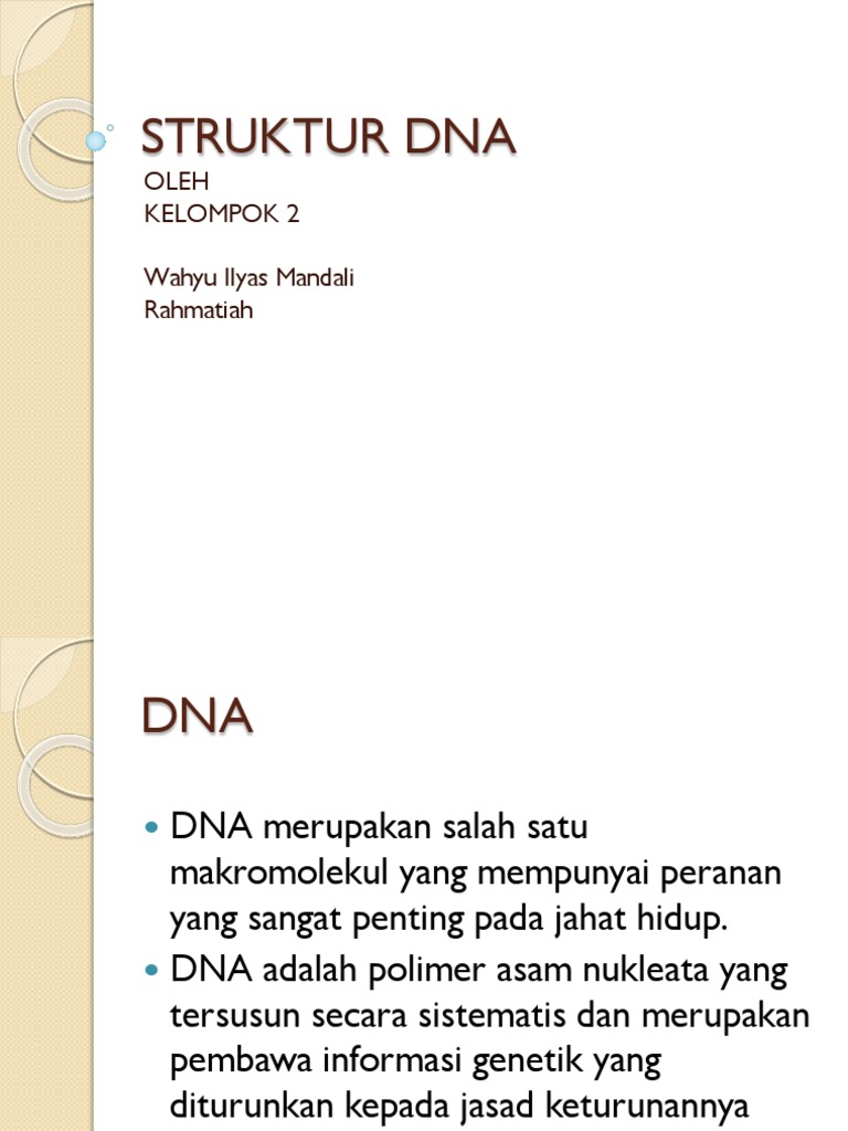 Struktur dan Fungsi DNA dalam Genetika | PDF