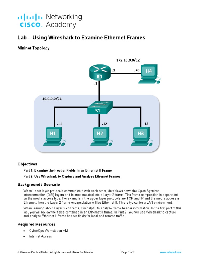 4.4.2.8 Lab - Using Wireshark To Examine Ethernet Frames | PDF | Ethernet | Network Packet