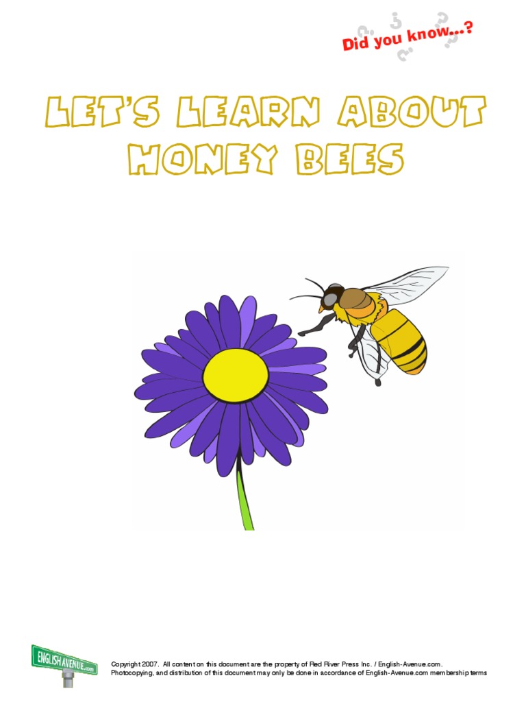 'S Learn About: Let Honey Bees | PDF | Honey Bee | Bees