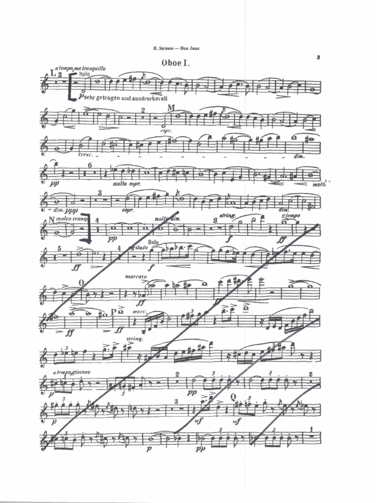 Oboe Strauss Don Juan | PDF