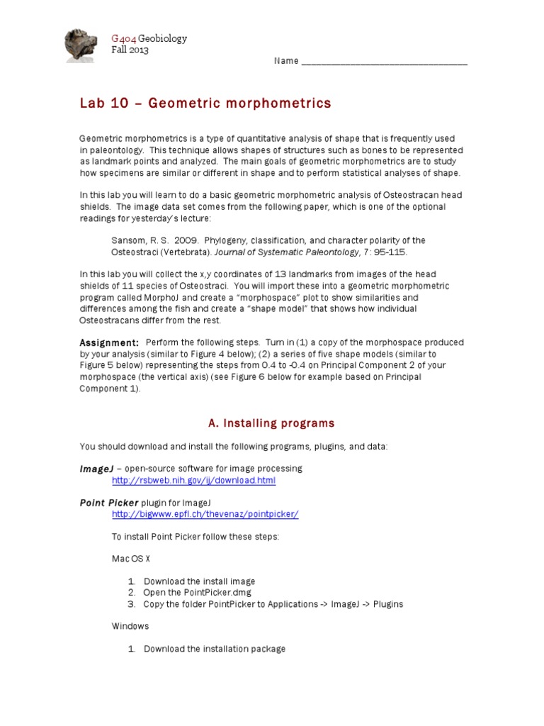 Lab 10 Geometric Morphometrics | PDF | Morphometrics | Shape