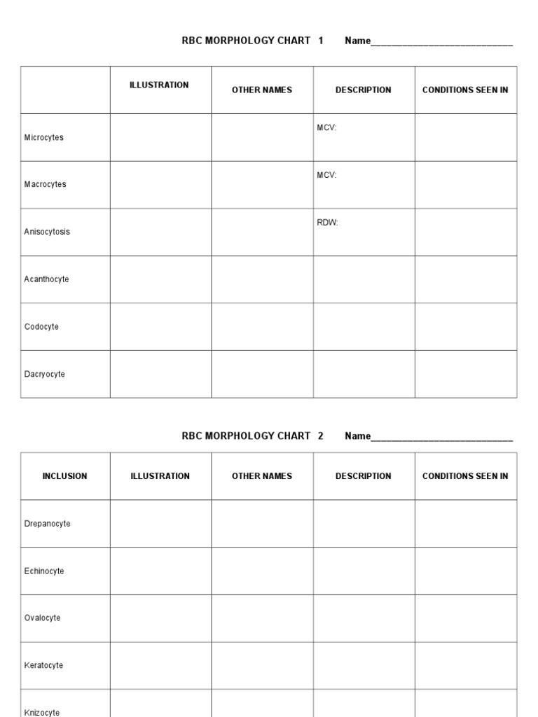 RBC MORPHOLOGY CHART 1 Name | Download Free PDF | Hematology | Pathology