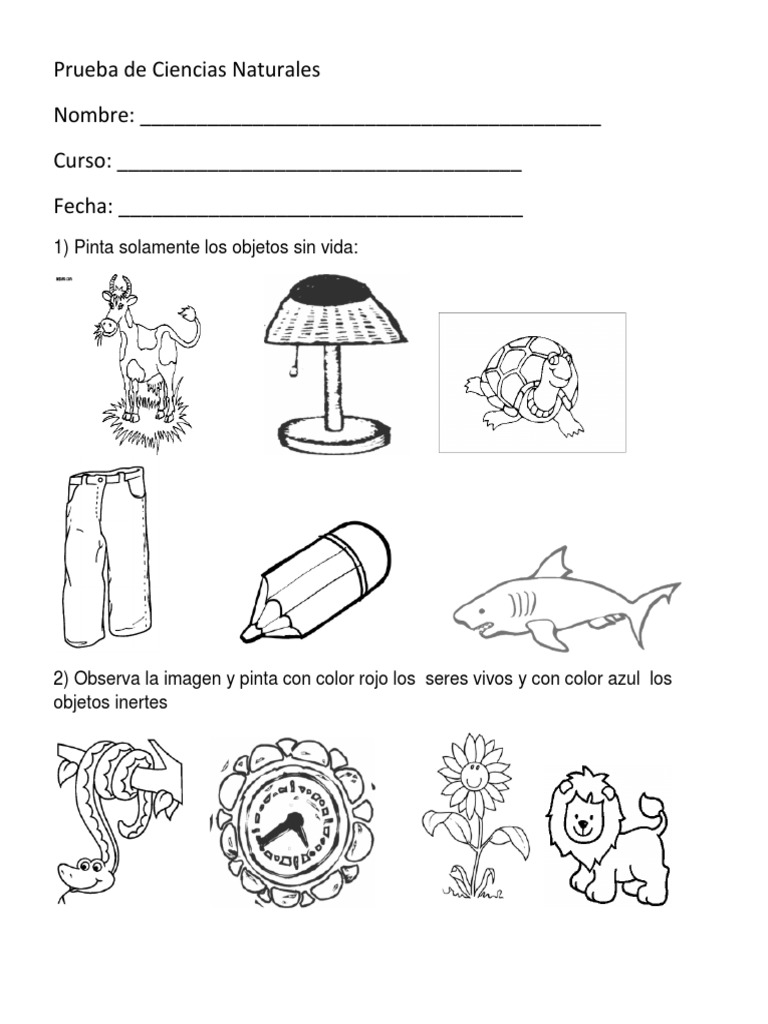 Seres Vivos e Inertes | PDF