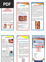 Triptico Enfermedades Aparato Reproductor | PDF | Infección transmitida sexualmente | Salud sexual