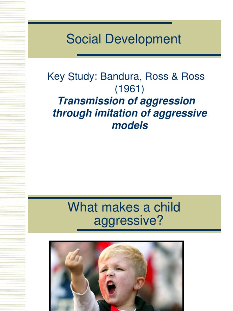 Bobo Doll Experiment | PDF | Psychological Theories | Behavior Modification