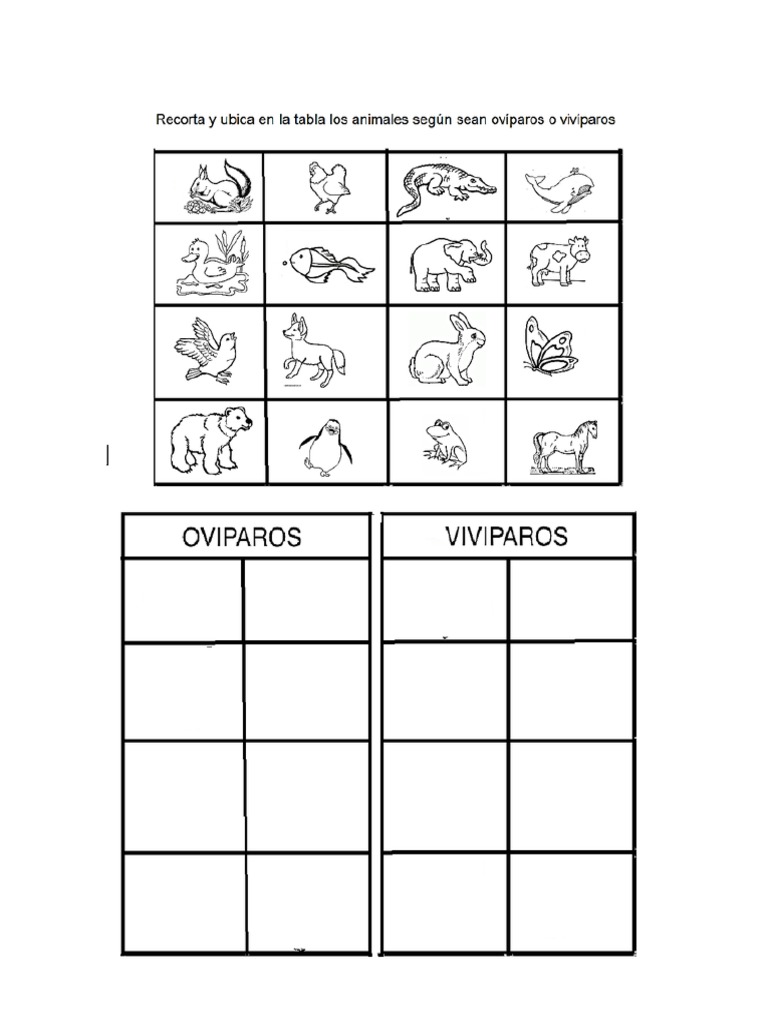 Animales Oviparos Segundo Basico | PDF