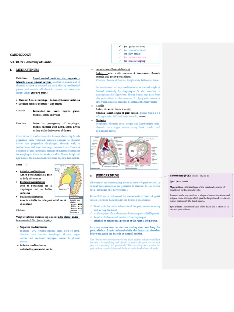 Cardiology. Section 1. Anatomy of Heart | PDF | Coronary Circulation ...
