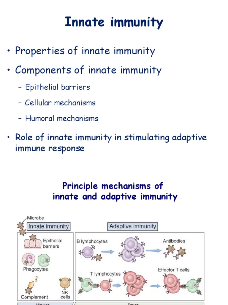 Innate Immunity: - Properties of Innate Immunity - Components of Innate ...