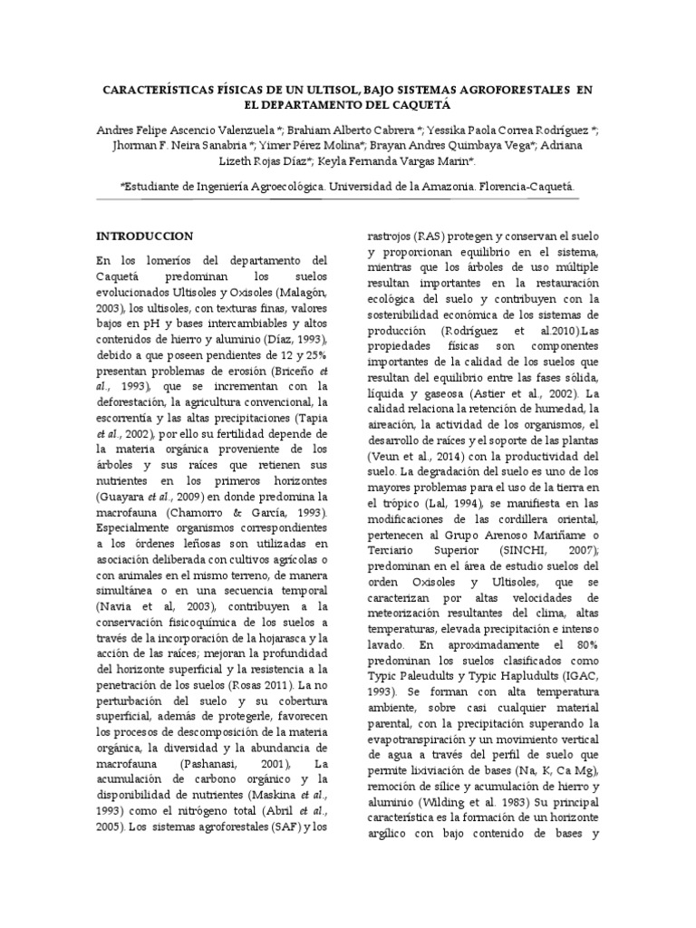 Informe Final-Fisica de Suelos Ultisoles | PDF | Suelo | Aluminio
