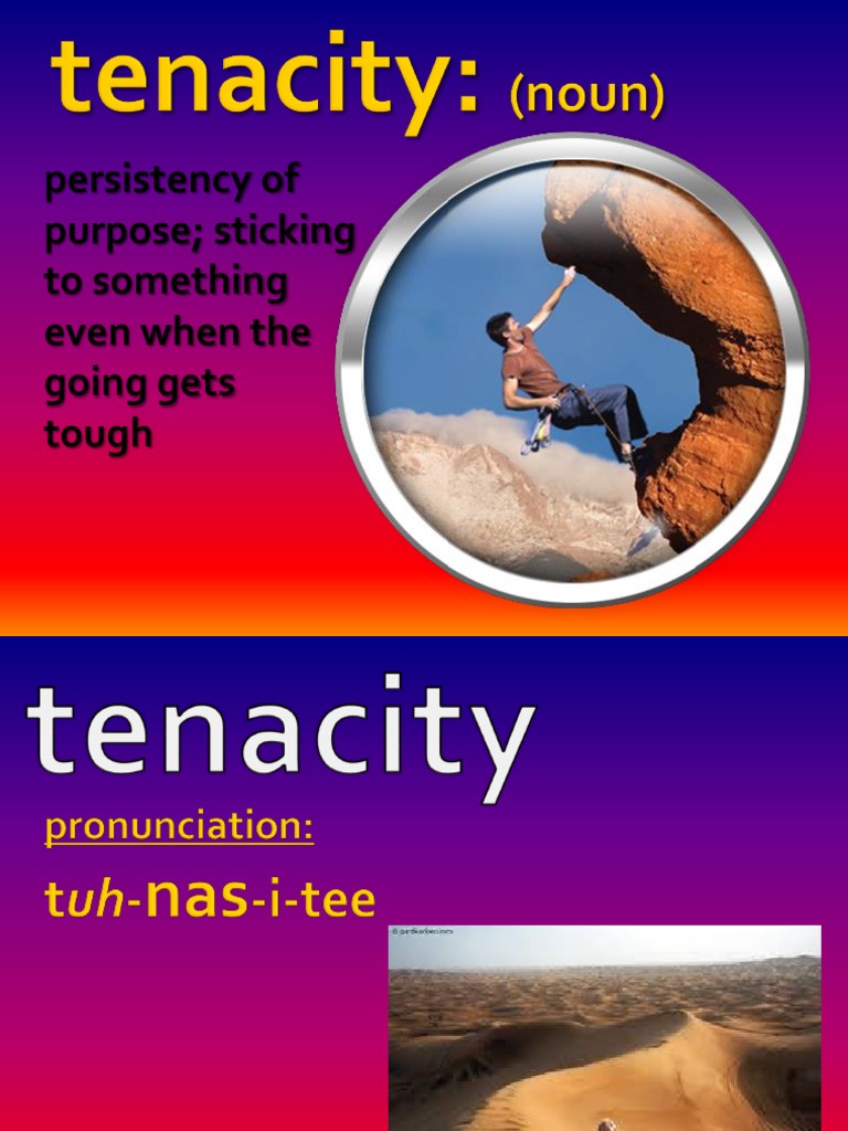 Tenacity | PDF