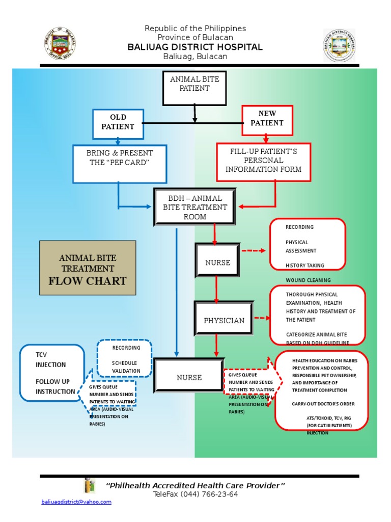 Animal Bite Flowchart | PDF | Rabies | Patient