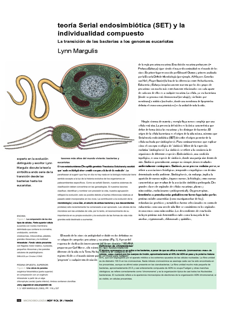 Teoría Endosimbiotica (TRADUCIDO) | PDF | Simbiosis | Las bacterias