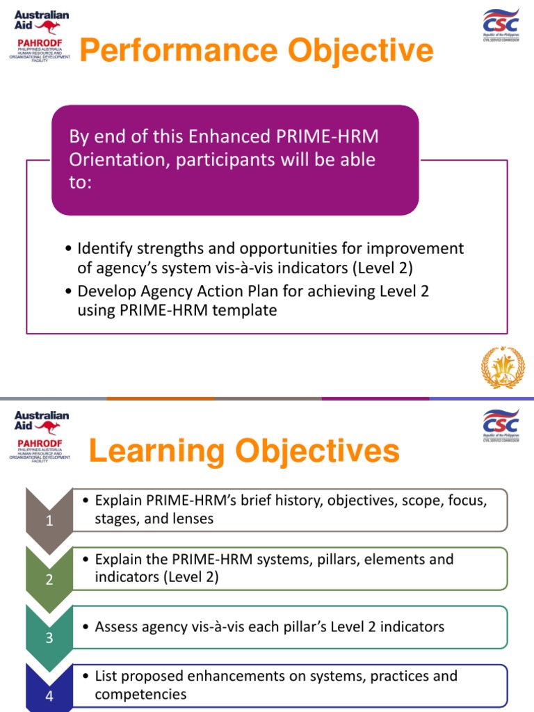 PRIME-HRM Level 2 Action Plan Guide | PDF | Human Resource Management ...
