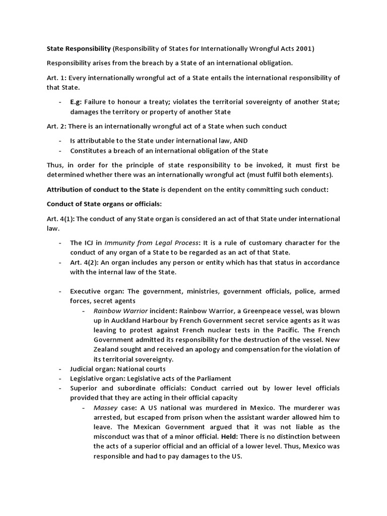 State Responsibility | PDF | Sovereign State | Social Institutions
