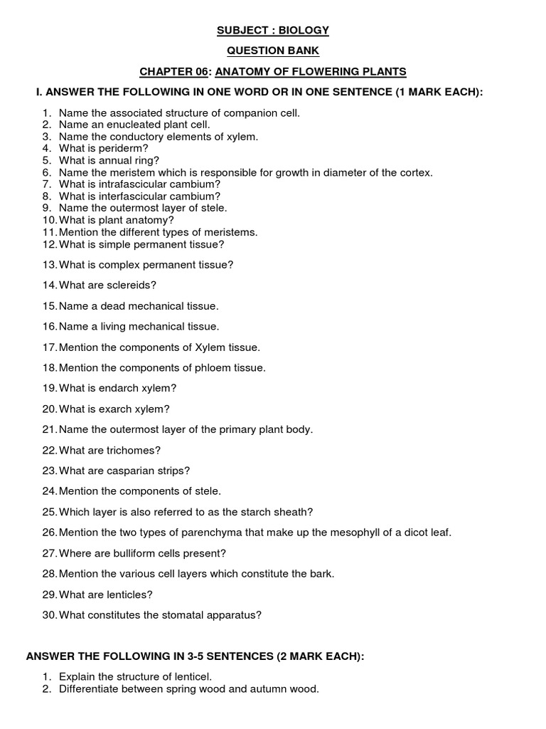 Anatomy Two Marks Question PDF | PDF | Tissue (Biology) | Plant Stem