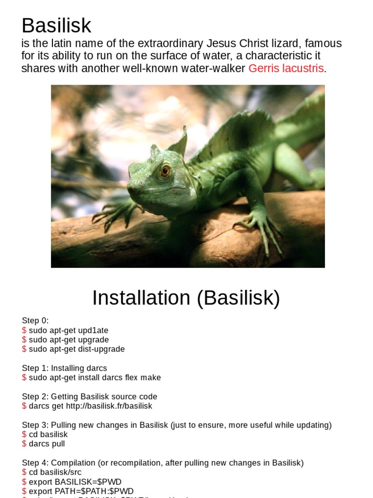 Basilisk Tutorial | PDF | C (Programming Language) | Software Development