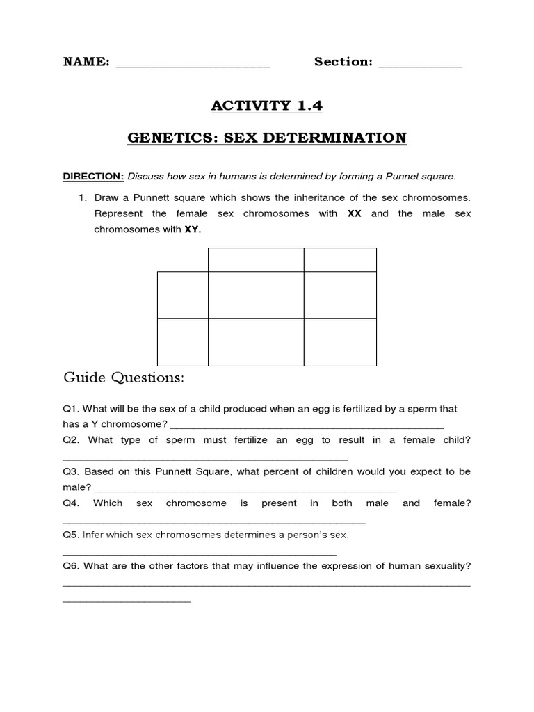 Determining Sex: A Genetic Exploration of Sex Chromosomes and Their ...