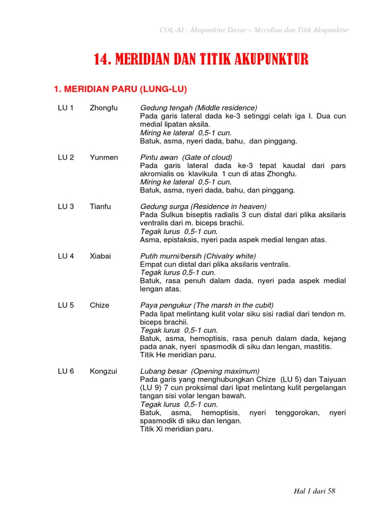 Titik Akupuntur dan Meridian Dasar | PDF
