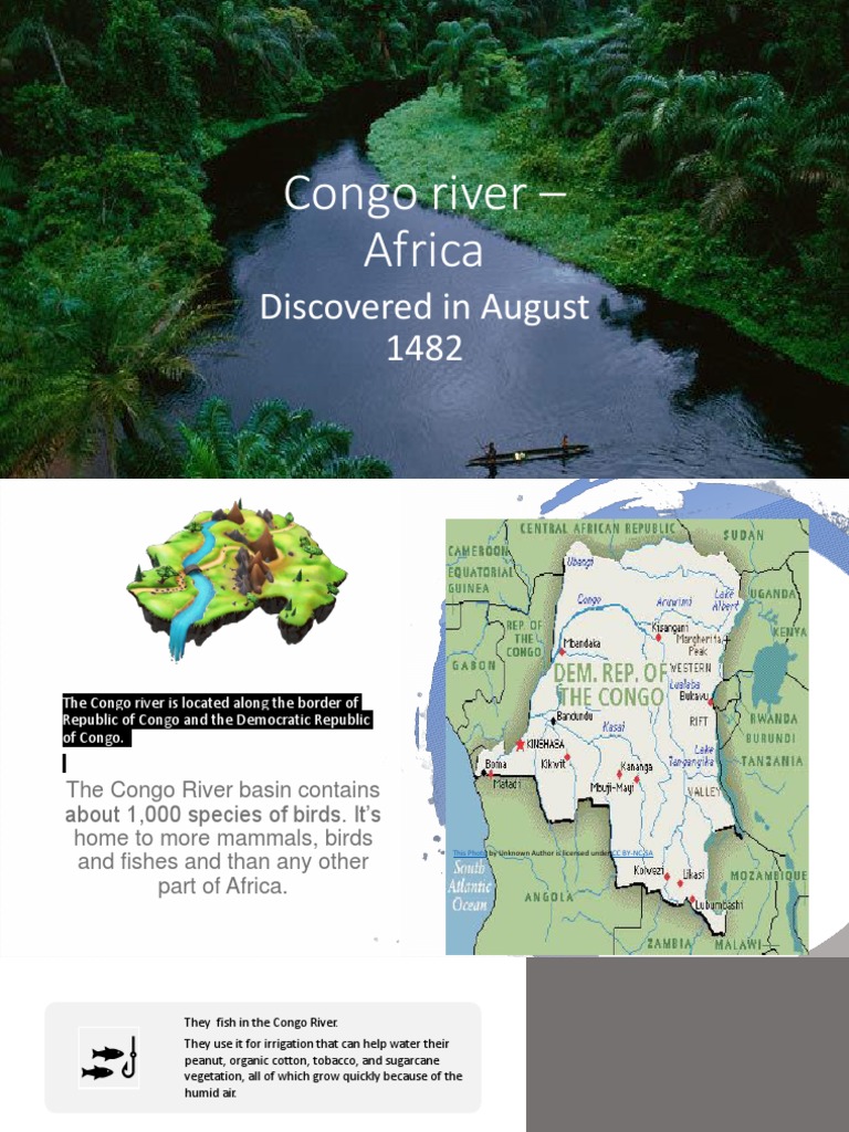 Congo River: Ecology, Tourism, and Safety | PDF