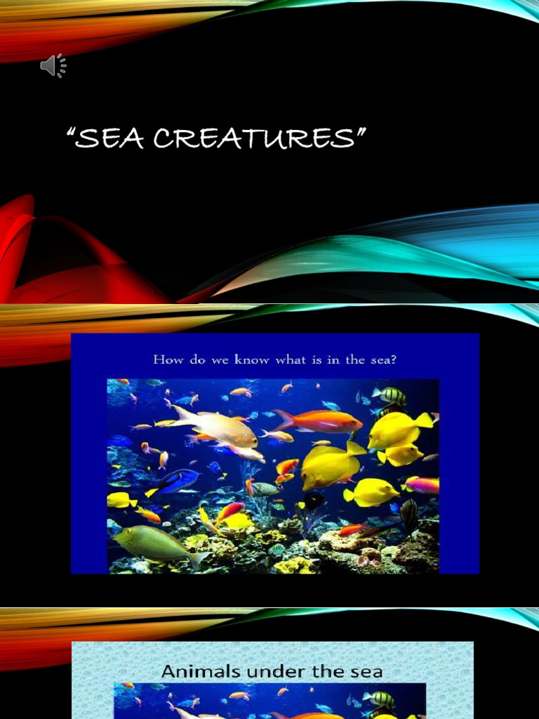 Sea Creatures | PDF