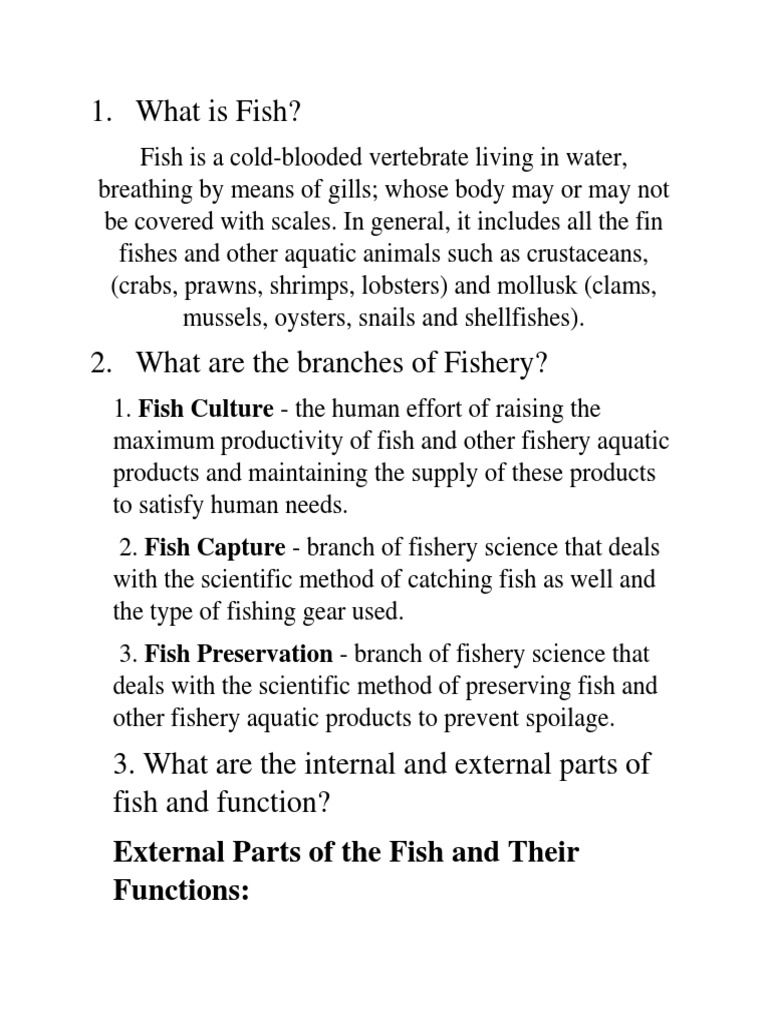 An In-Depth Exploration of Fish Anatomy, Physiology, and the Branches ...