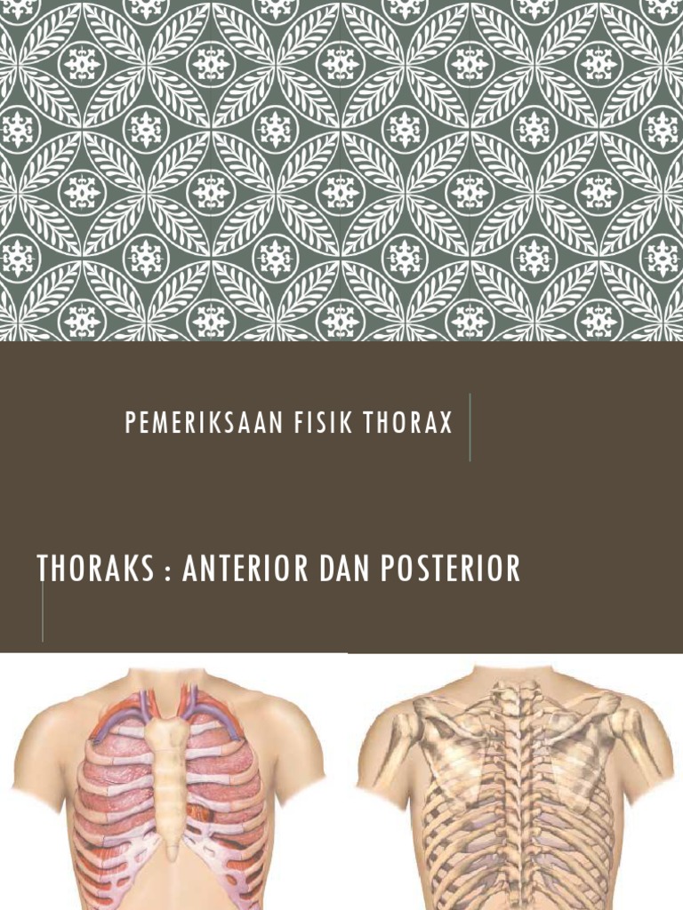 PX Thorax | PDF