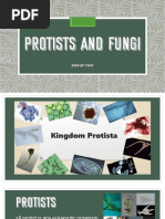 Protist Dichotomous Key Activity | PDF | Biology | Cell Anatomy