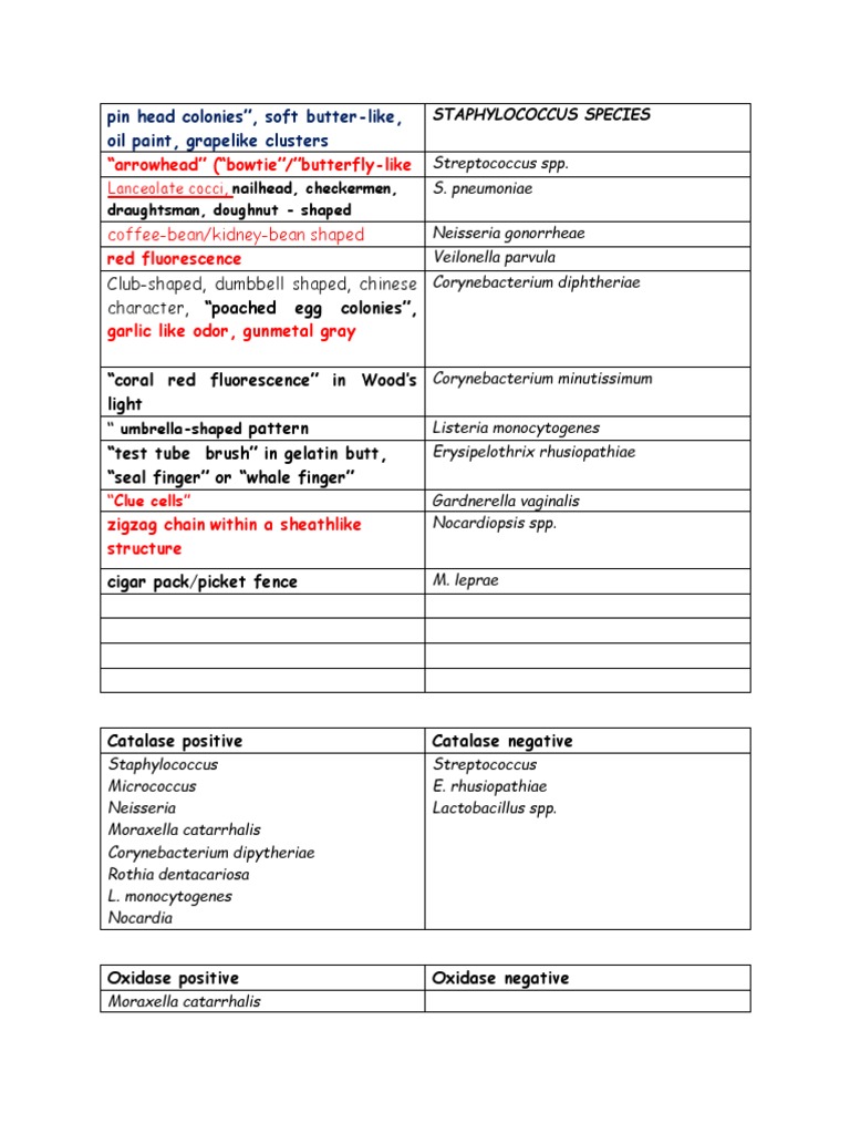 "Arrowhead" ("Bowtie"/"butterfly-Like: Pin Head Colonies", Soft Butter ...