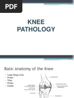 Pre-Professional Pointe 1 Workbook | PDF | Pelvis | Hip