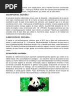 Tipos de Pandas | PDF | Panda gigante | Osos