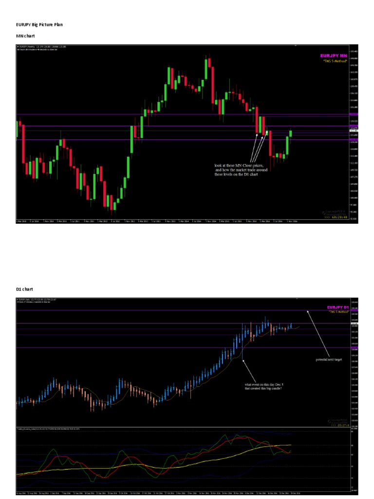 EURJPY Big Picture Plan MN Chart | PDF