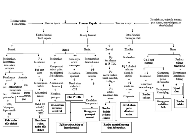 Pathway Head Injury | PDF