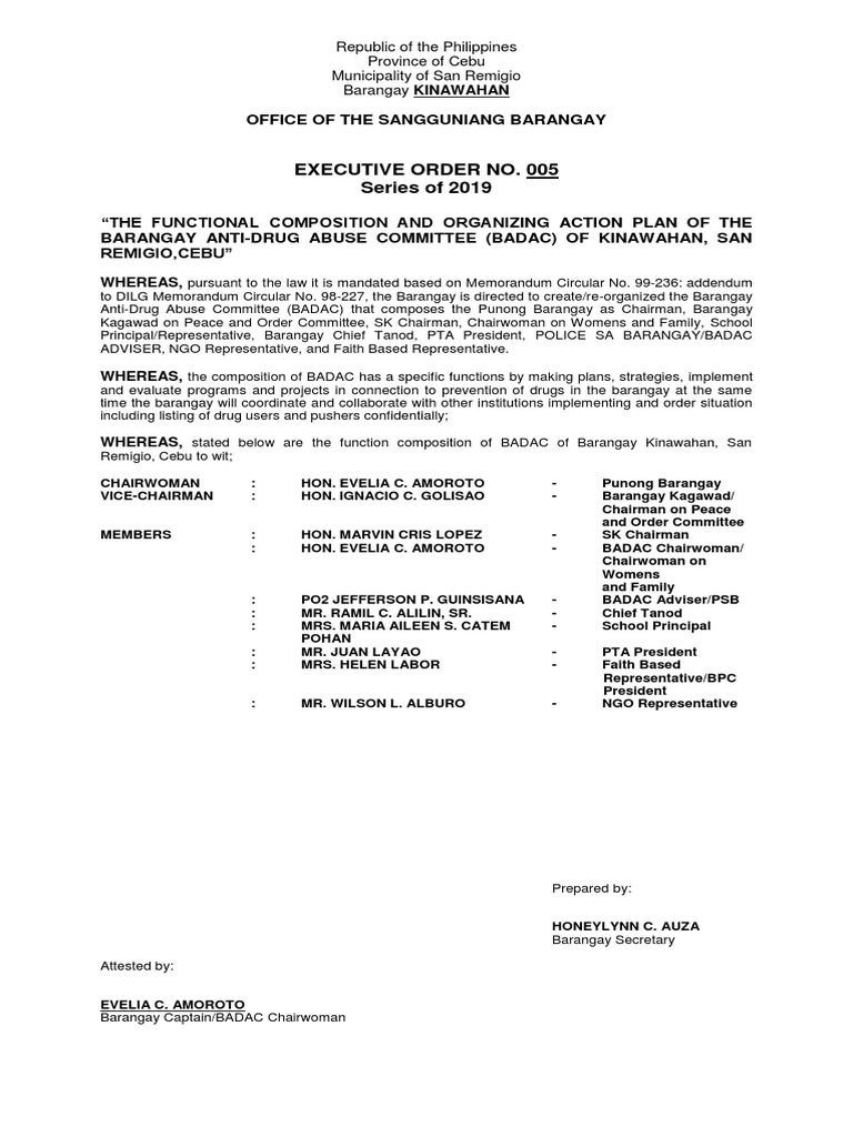 BADAC Composition and Action Plan | PDF | Justice | Crime & Violence