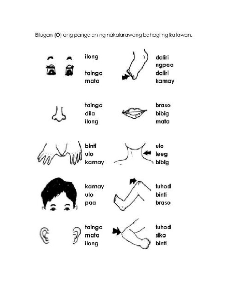 FREE Filipino Flashcards Body Parts (Bahagi Ng Katawan) —, 51% OFF