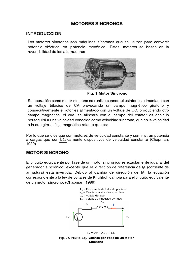 Motores Sincronos | Descargar gratis PDF | Motor eléctrico | Energia electrica