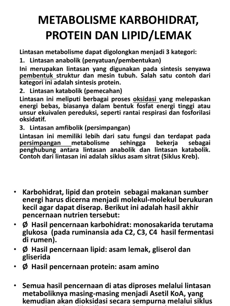 Metabolisme KH, Protein Dan Lemak | PDF