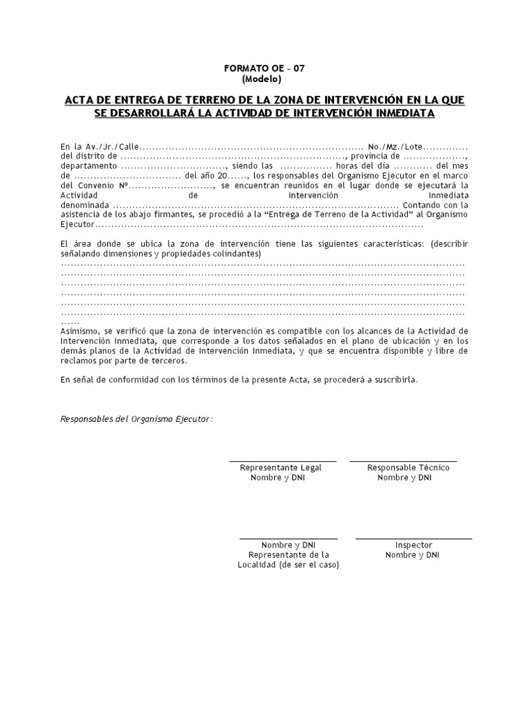 Formatos - OE 7 y 8 (Word) Last FINAL | PDF | Gobierno