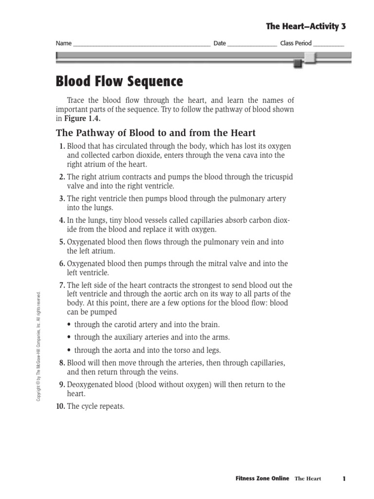 The Heart Activity 3 PDF | PDF | Heart Valve | Atrium (Heart)